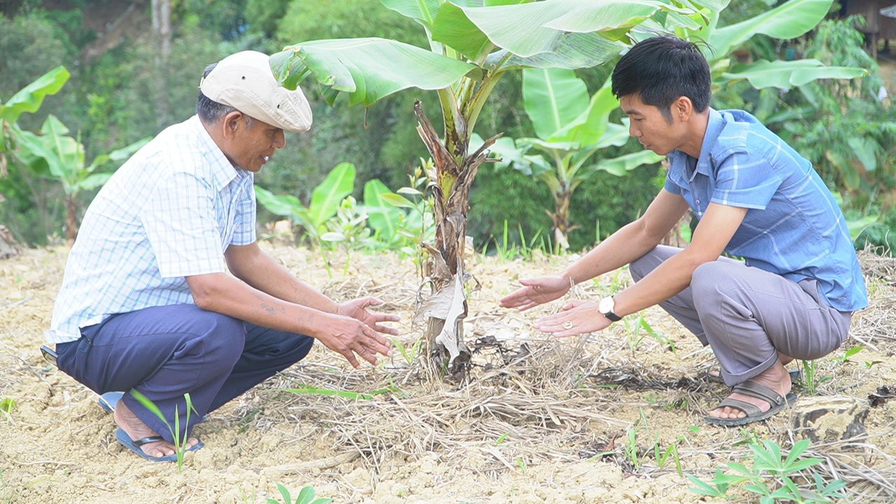 Nắng mới trên đỉnh núi Pa Ling
